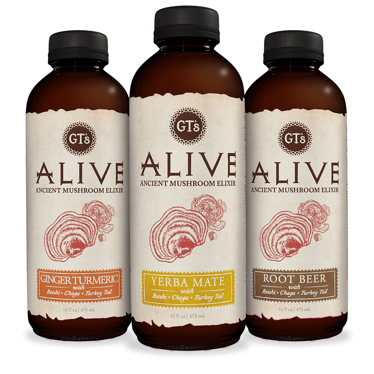 ALIVE Ancient Mushroom Elixir | Adaptogenic Teas | GT's Living Foods